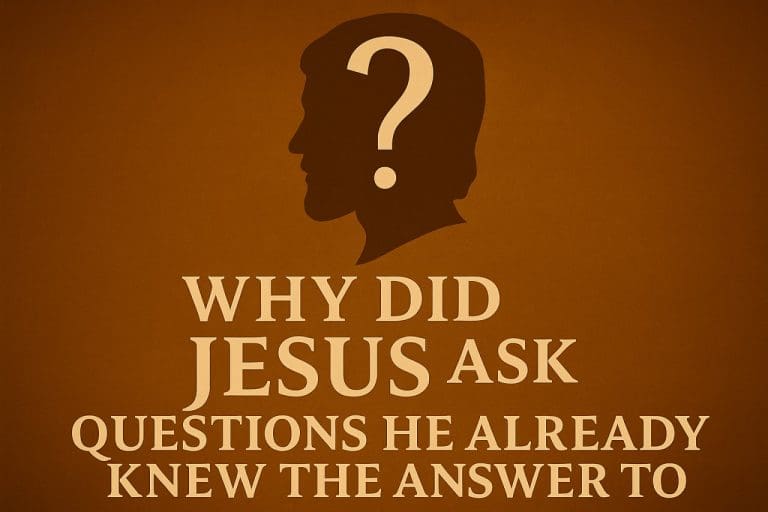 Why Did Jesus Ask Questions He Already Knew the Answer To?