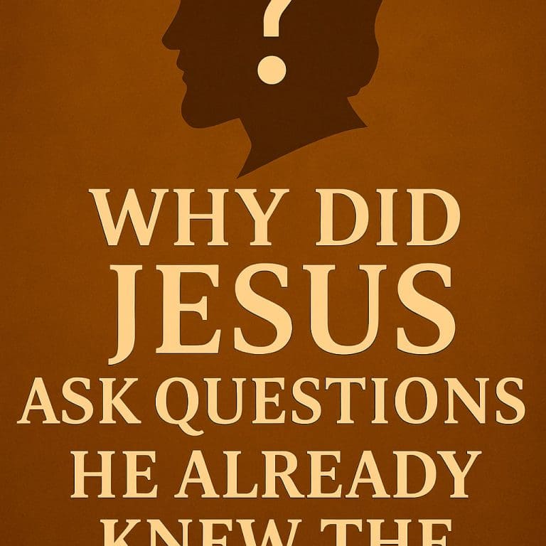 Why Did Jesus Ask Questions He Already Knew the Answer To?